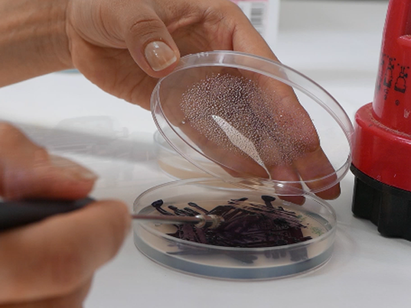 Fabricademy Bootcamp - Iceland 2019